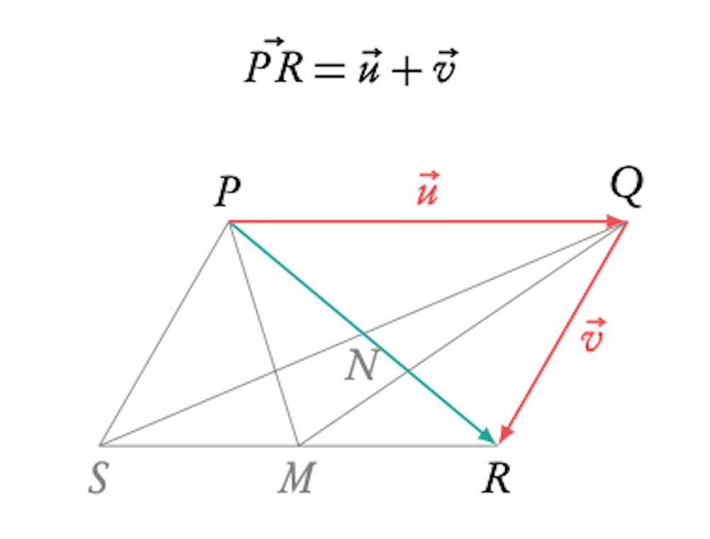 Working with vectors - Top Study Guide | RevisionTown
