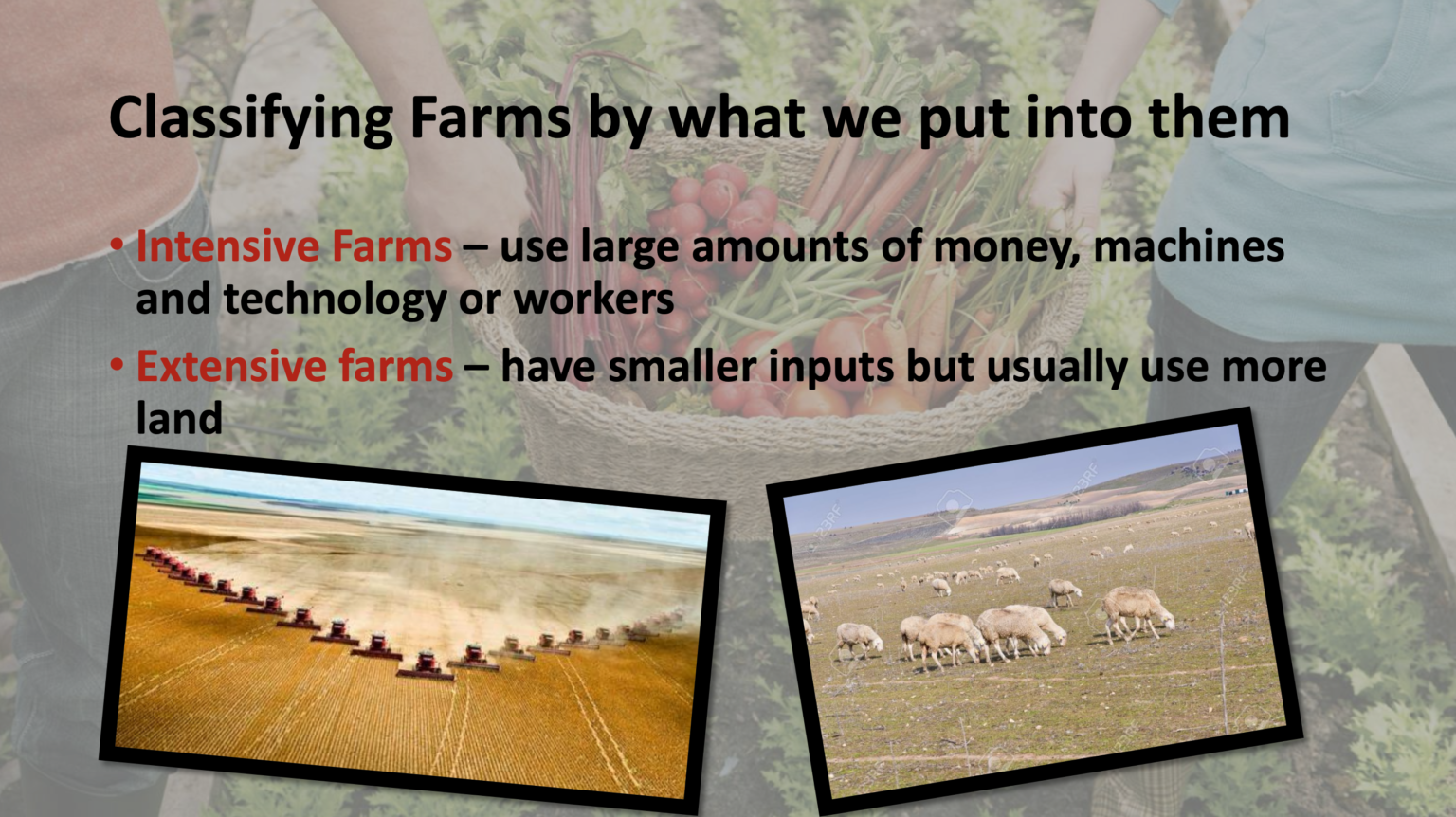 Geography of Food Production - Top Study Guide | RevisionTown