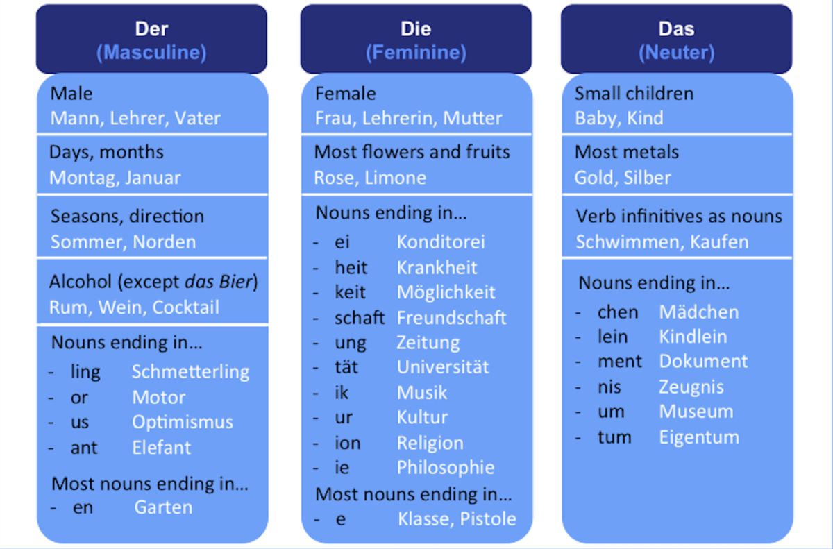 Gender of German Nouns - Top Study Guide | RevisionTown