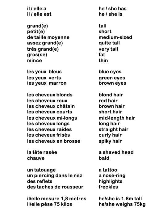 Features Description in French – RevisionTown